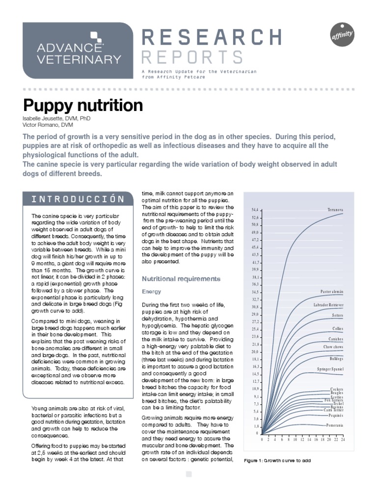 Research Report Puppy Nutrition | PDF | Vitamin D | Omega 3 Fatty Acid
