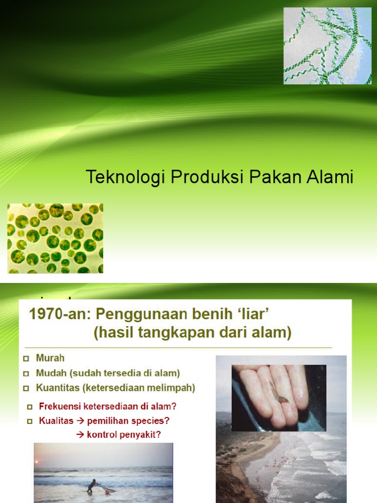 Budidaya Pakan Alami untuk Akuakultur | PDF