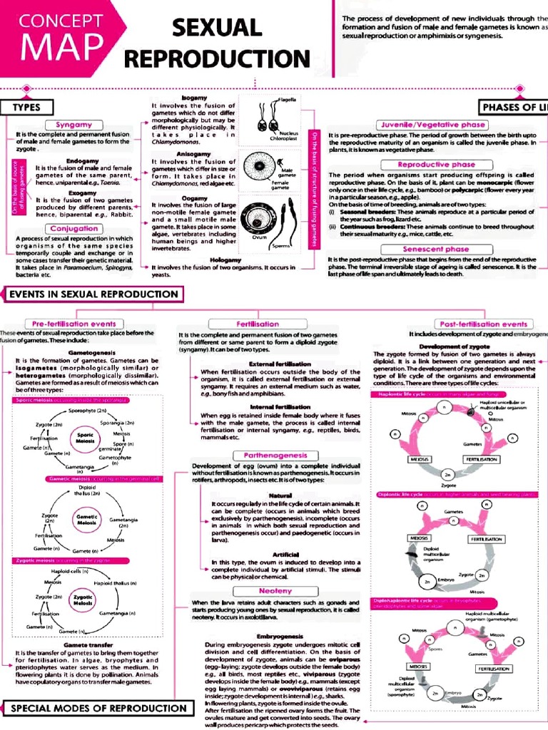 Concept Map Sexual Reproduction | PDF | Fertilisation | Sexual Reproduction