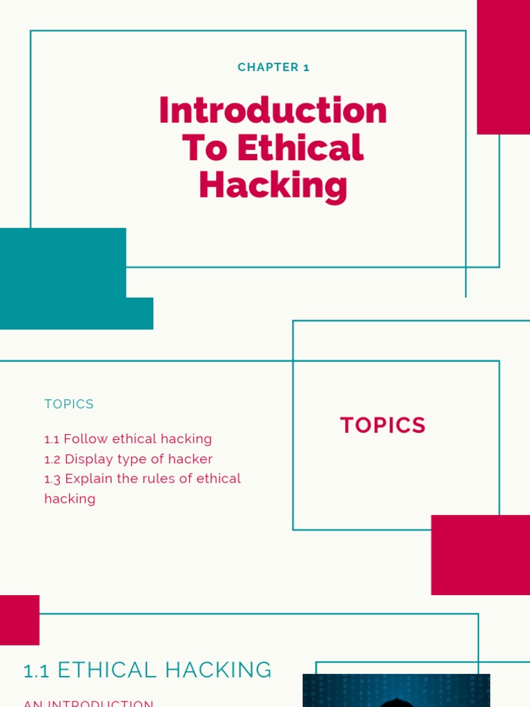 Chapter 1 | PDF | White Hat (Computer Security) | Security Hacker