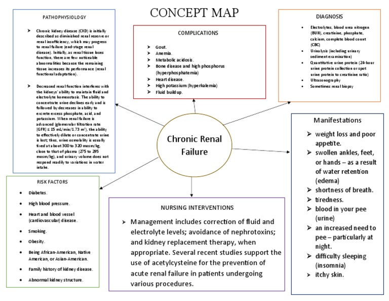Urinary System Concept Map