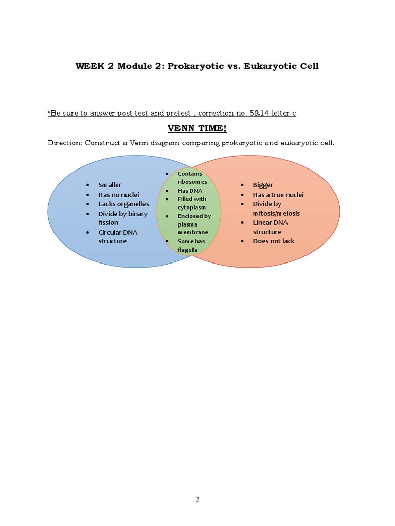 WEEK 2 Module 2: Prokaryotic vs. Eukaryotic Cell | PDF | Prokaryote ...