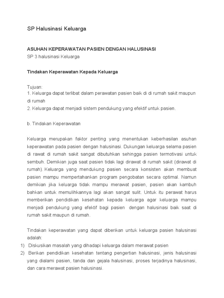 SP 3 Halusinasi Keluarga | PDF