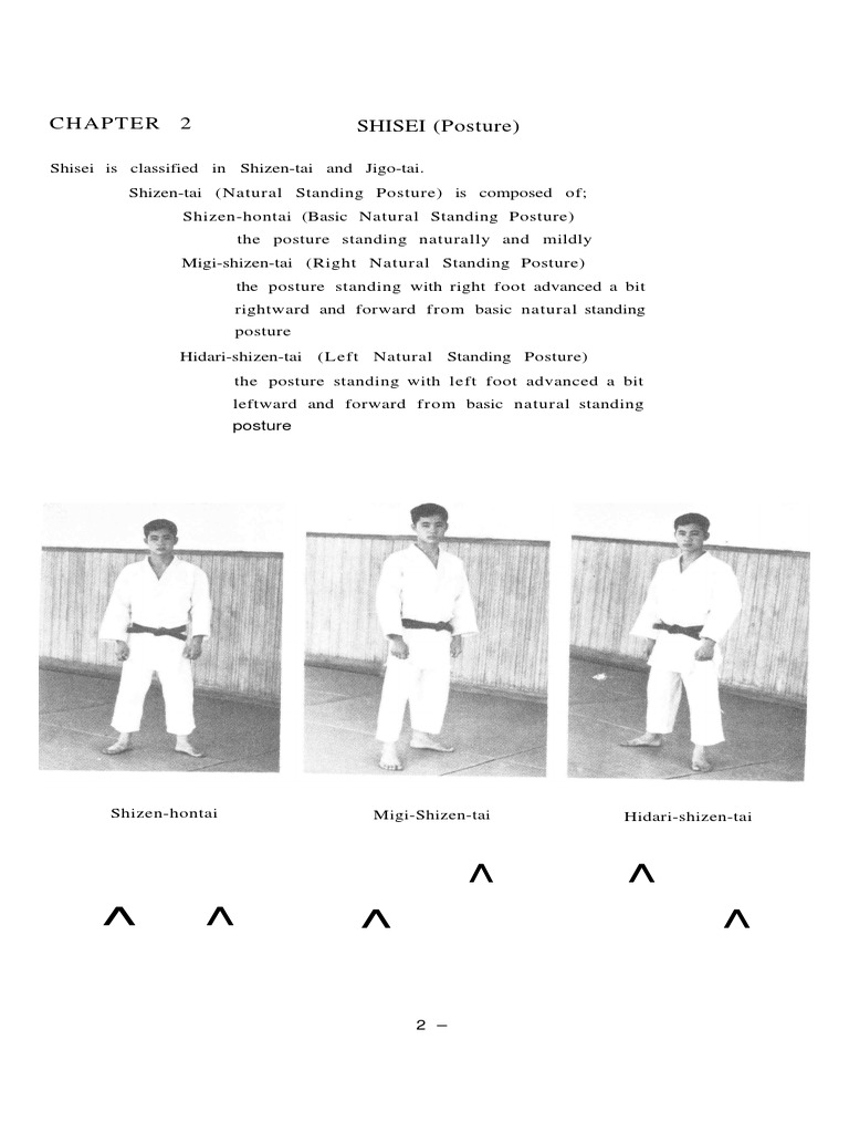 Judo Posture: Shizen-tai and Jigo-tai | PDF