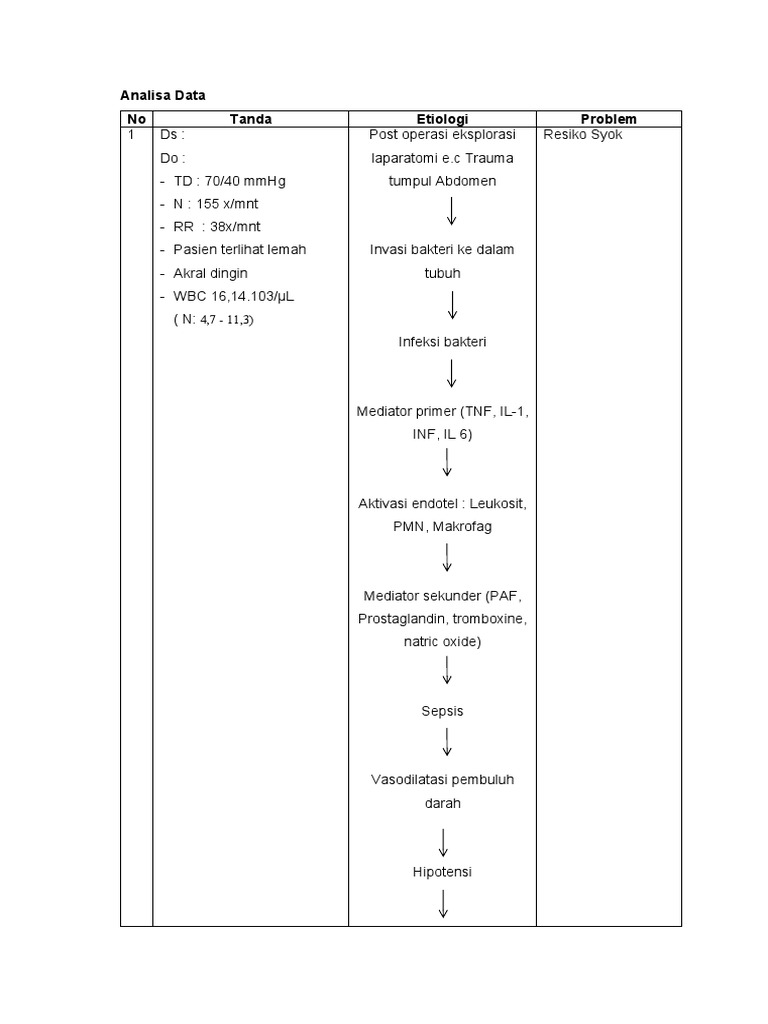 Analisa Data Resiko Syok | PDF