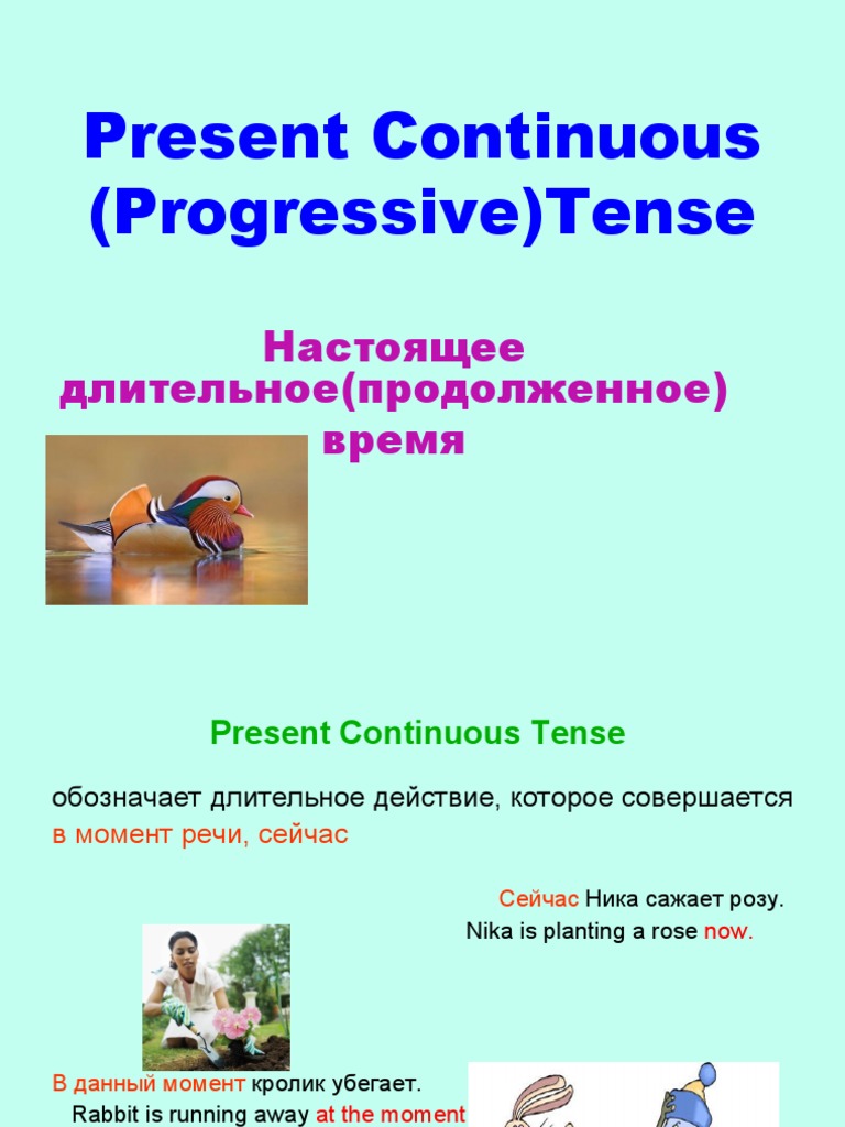 Present Continuous (Progressive) Tense | PDF