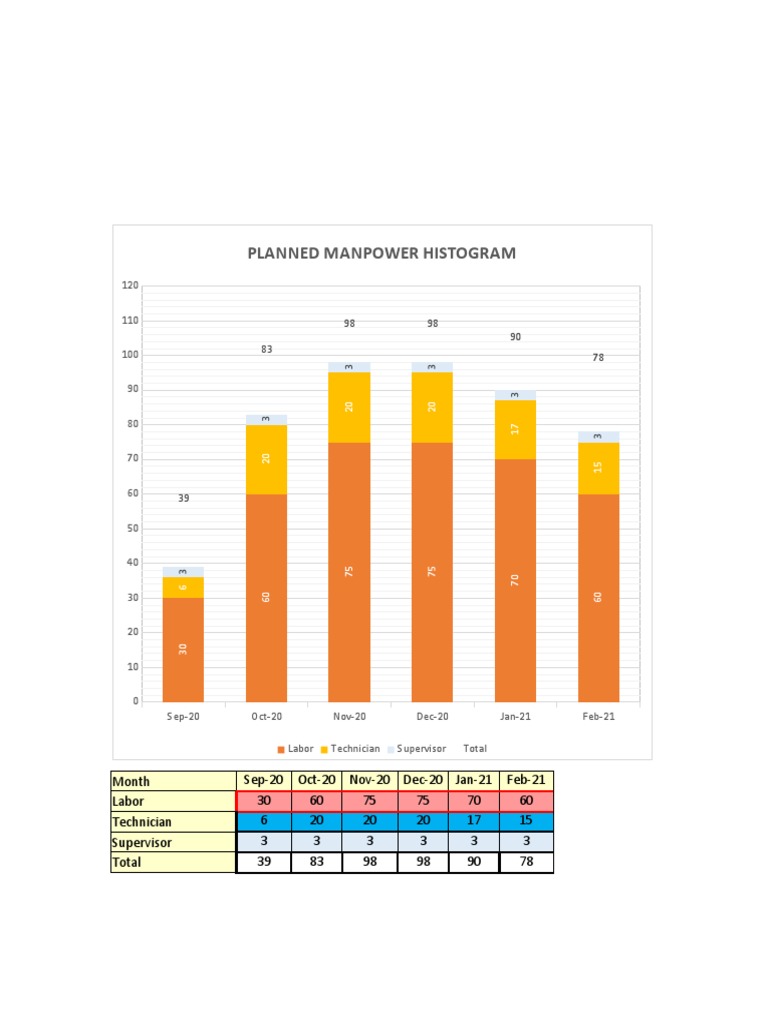 Planned Manpower Histogram | PDF