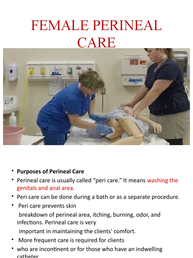 Female Perineal Care Procedures | PDF