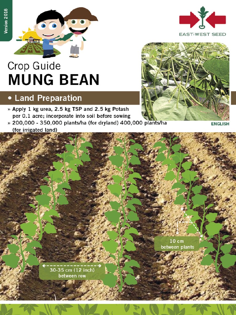 Mung Bean PDF | PDF