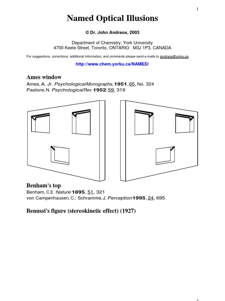 Optical Illusions Pdf Senses Visual System