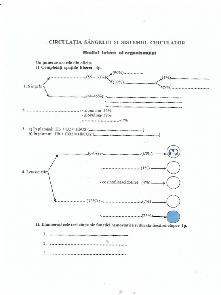 Sangele - Fisa de Lucru 1 PDF | PDF