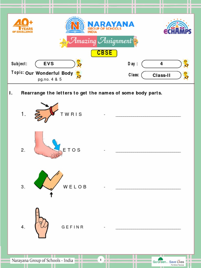 Class 2 Worksheet: Our Wonderful Body | PDF | Career & Growth
