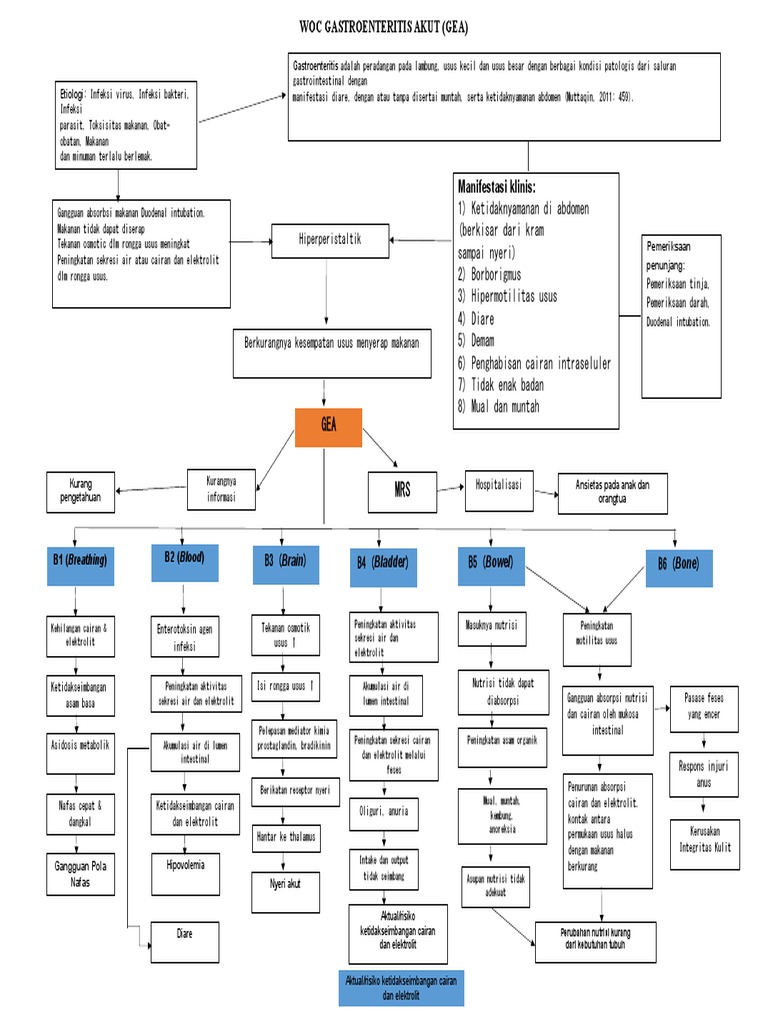 Woc Gastroenteritis Akut | PDF