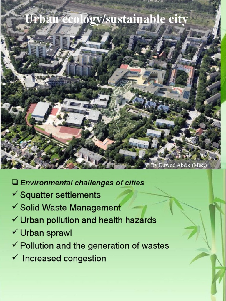 Urban Ecology Final | PDF | Urbanization | Sustainability