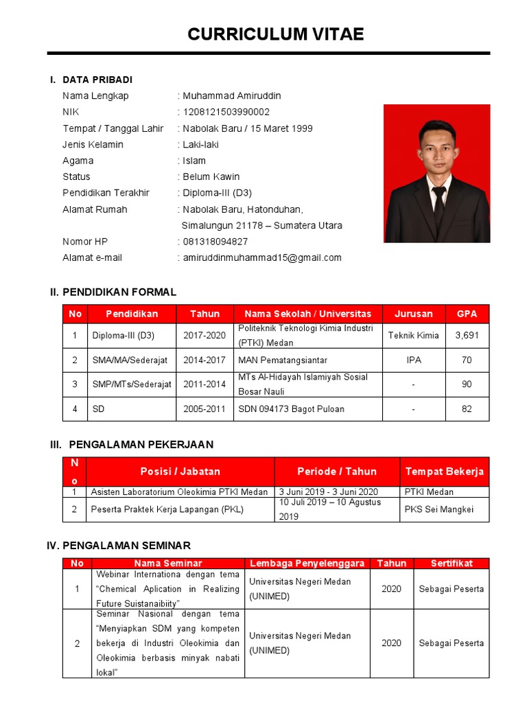 CV Muhammad Amiruddin | PDF