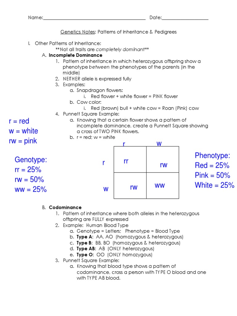 Genetics Notes - Other Patterns of Inheritance & Pedigrees | PDF ...