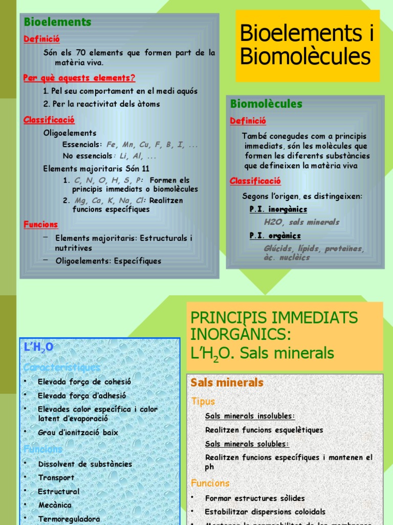 Bioelements | PDF