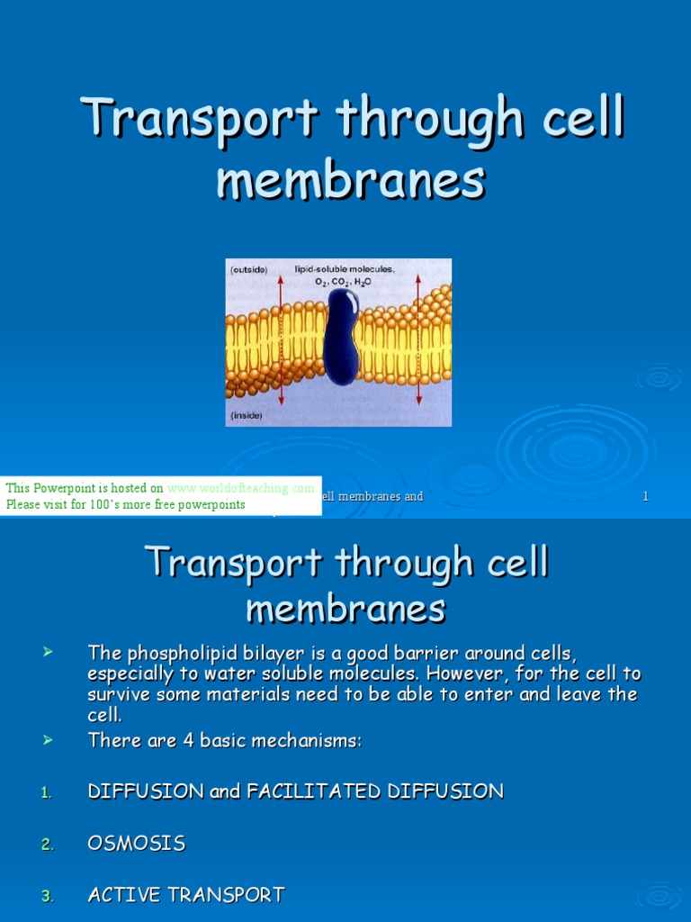 Cell Membrane Transport | PDF | Cell Membrane | Osmosis