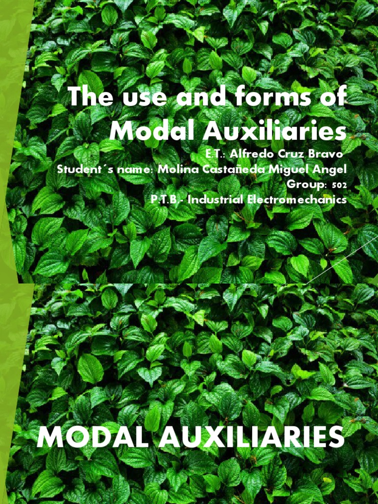 The Use and Forms of Modal Auxiliaries Mmolina | PDF | Language Arts ...