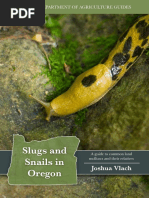 Terrestrial Snails and Slugs of Maine | PDF | Nature