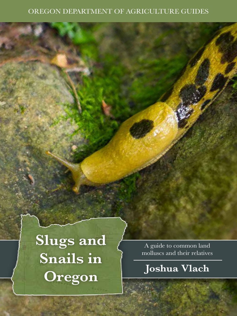 Slugs and Snails of Oregon Guide | PDF | Molluscs | Organisms