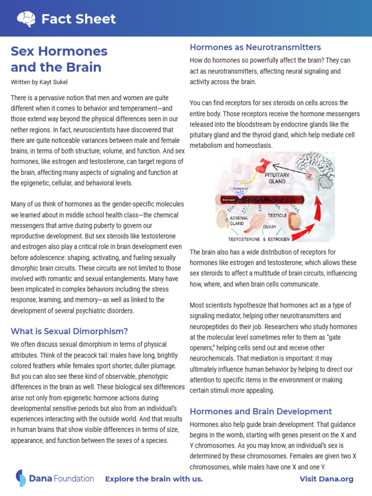 Sex Hormones and The Brain | PDF | Hormone | Sexual Dimorphism