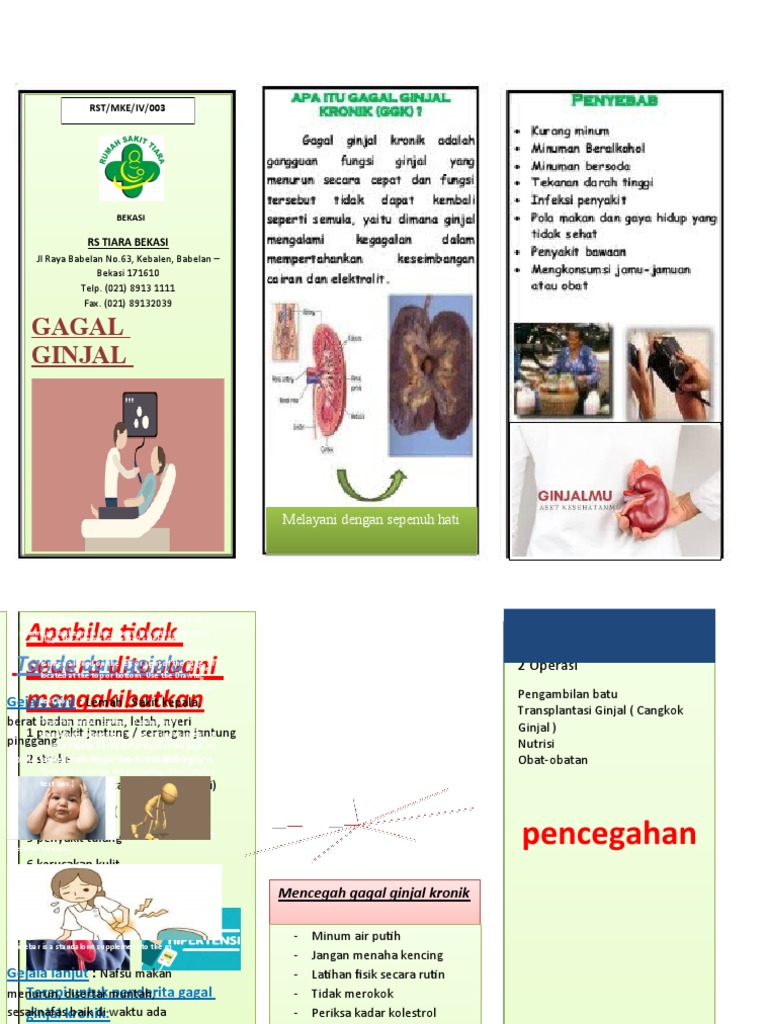 Leaflet Gagal Ginjal Baru | PDF