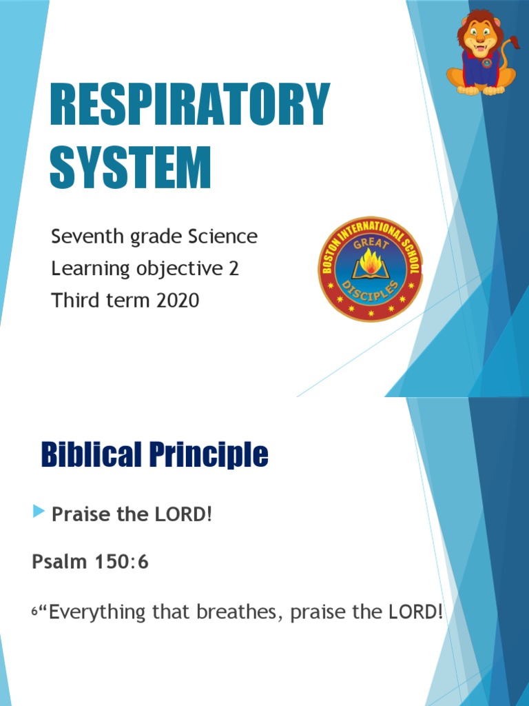 7th Grade Respiratory System 2020 | PDF | Respiratory System | Lung