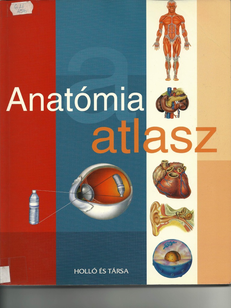 Anatomia Atlasz 1 PDF | PDF
