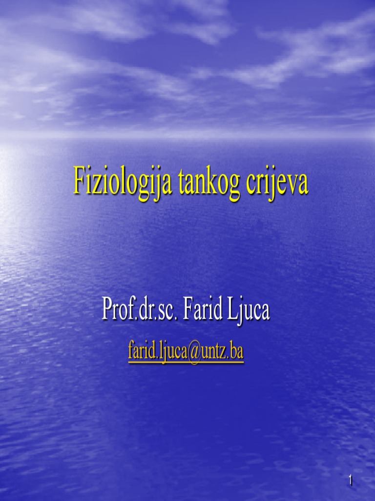 Fiziologija Tankog Crijeva | PDF