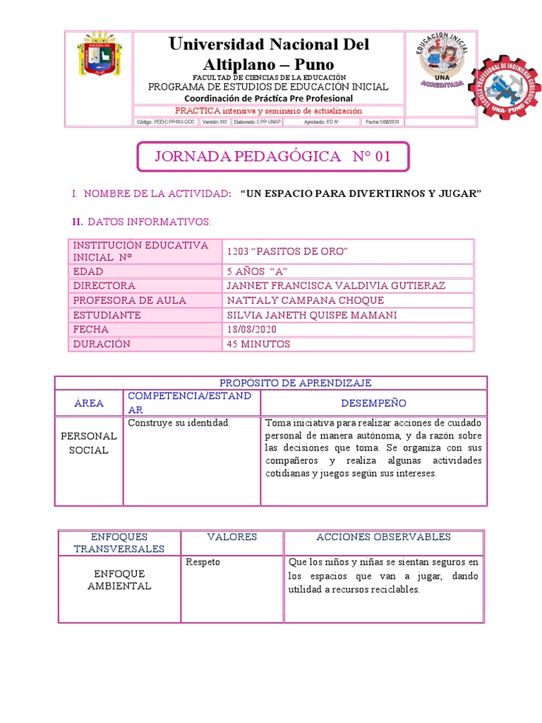 Silvia Janeth Quispe Mamani - 01 | PDF | Educación de la primera infancia | Cognición