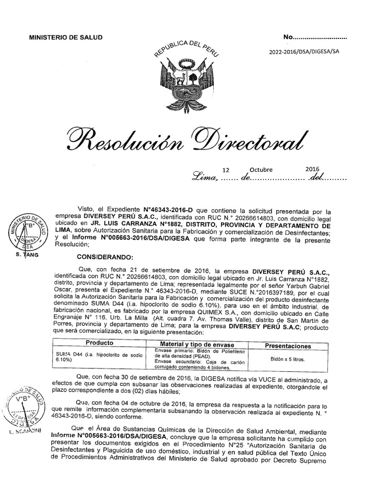 SUMA D44 - Resolucion Directoral | PDF