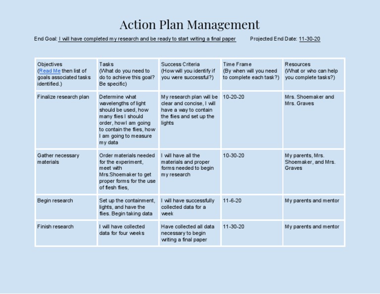 Action Plan for Research Project Completion | PDF