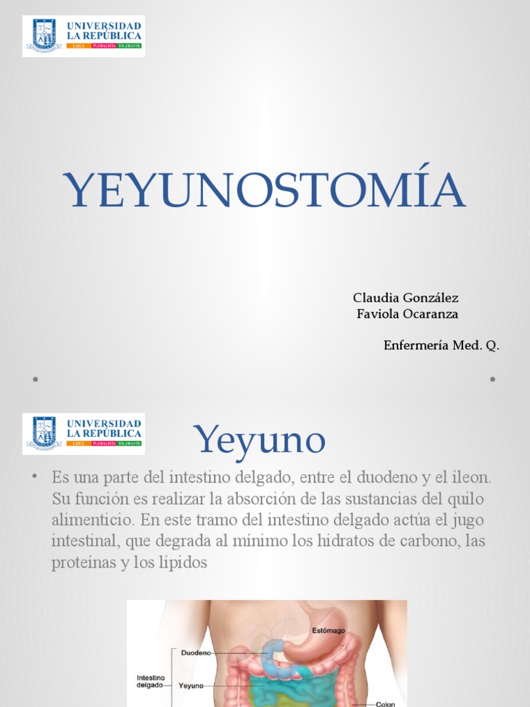 Cuidados de Yeyunostomía en Pacientes | PDF | Intestino delgado | Nutrición