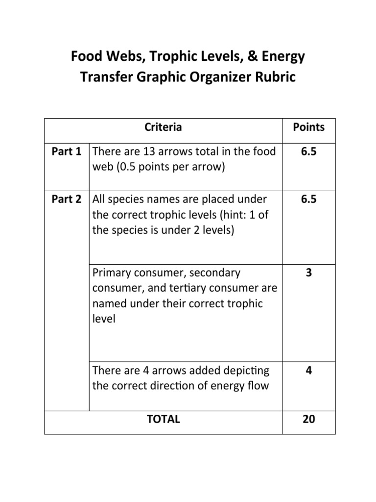 Food Web Rubric for Energy Transfer | PDF | Science & Mathematics