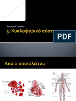 Ανατομια Β ΕΠΑΛ PDF | PDF