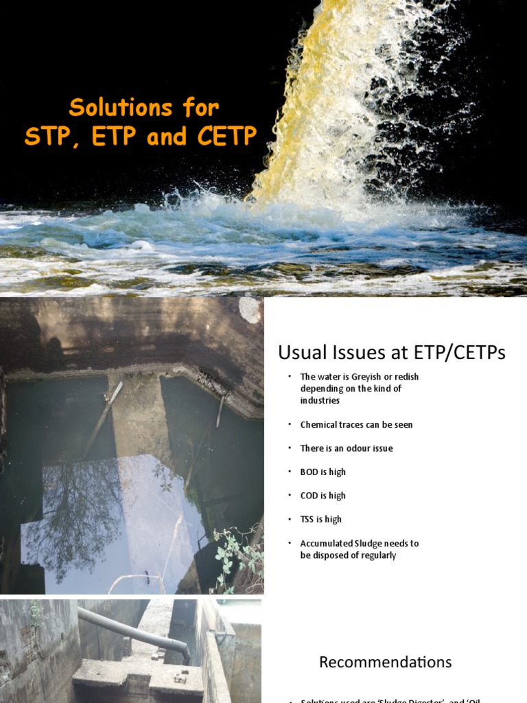 Solutions for Improving Effluent Quality and Sludge Reduction at Sewage ...