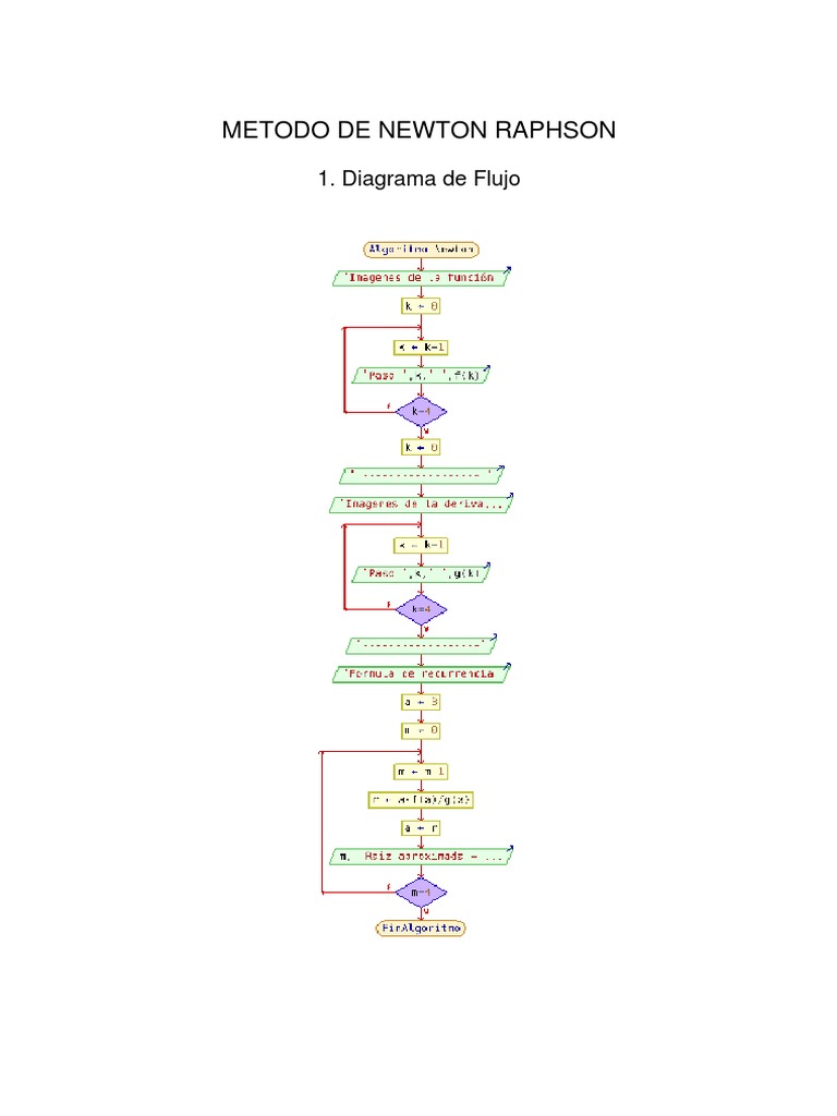Metodo de Newton Raphson | PDF
