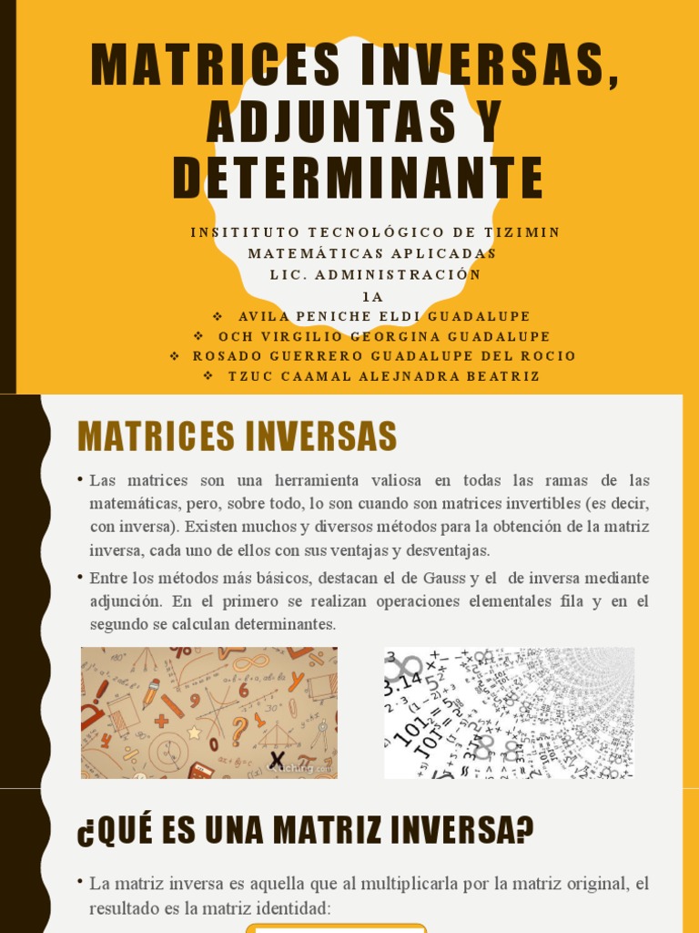 Matrices Inversas, Adjuntas y Determinante | Descargar gratis PDF ...