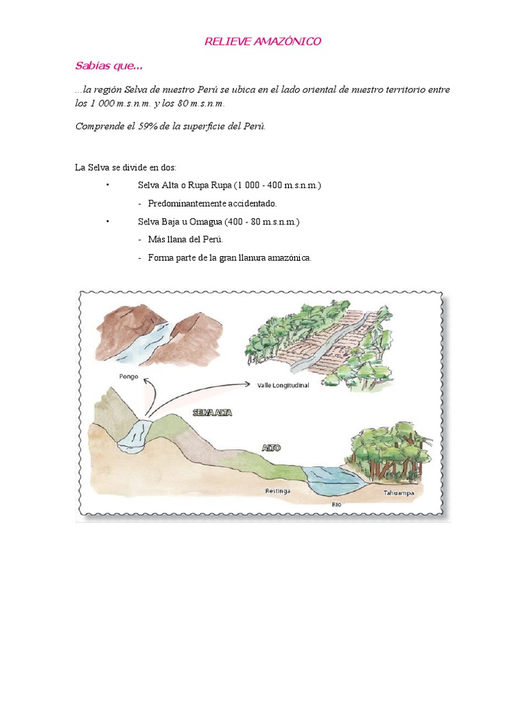 Relieve Amazónico | PDF