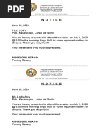 Letter For Courtesy Call (City Mayor) | PDF
