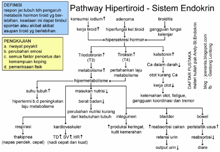 Pathway Hipertiroid | PDF