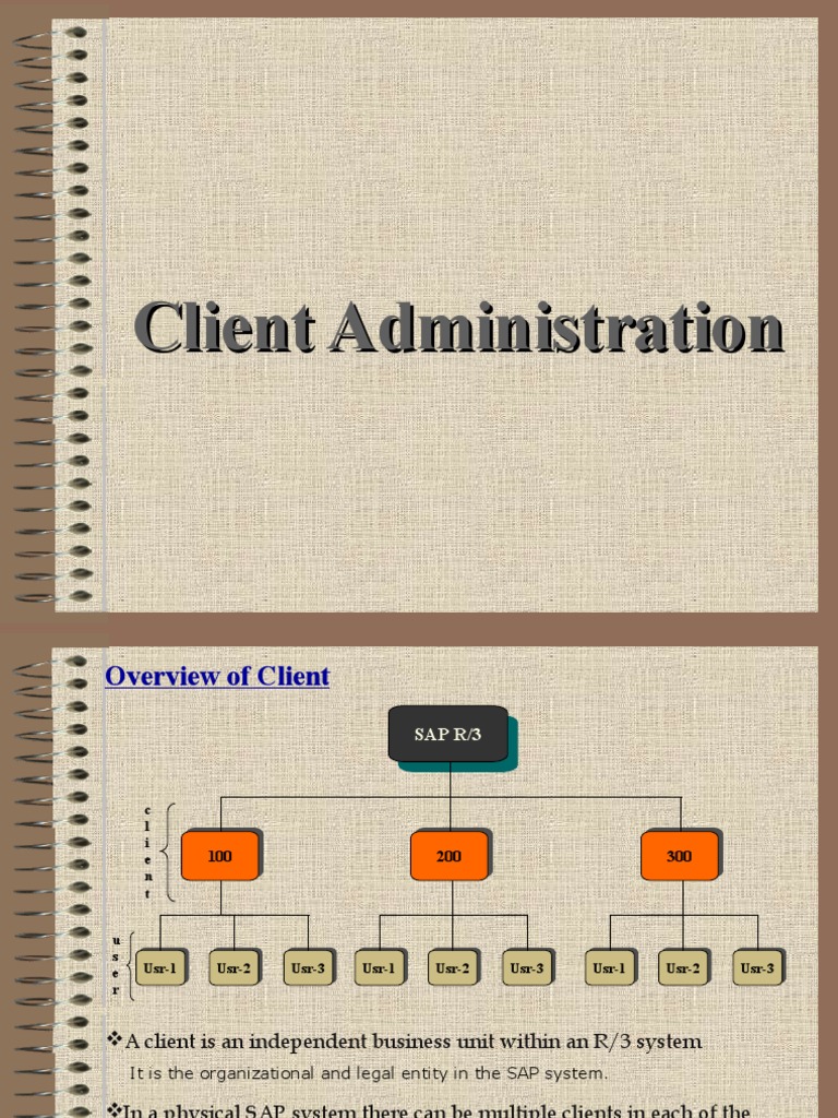 Understanding SAP Client Administration | PDF | Databases | Computing