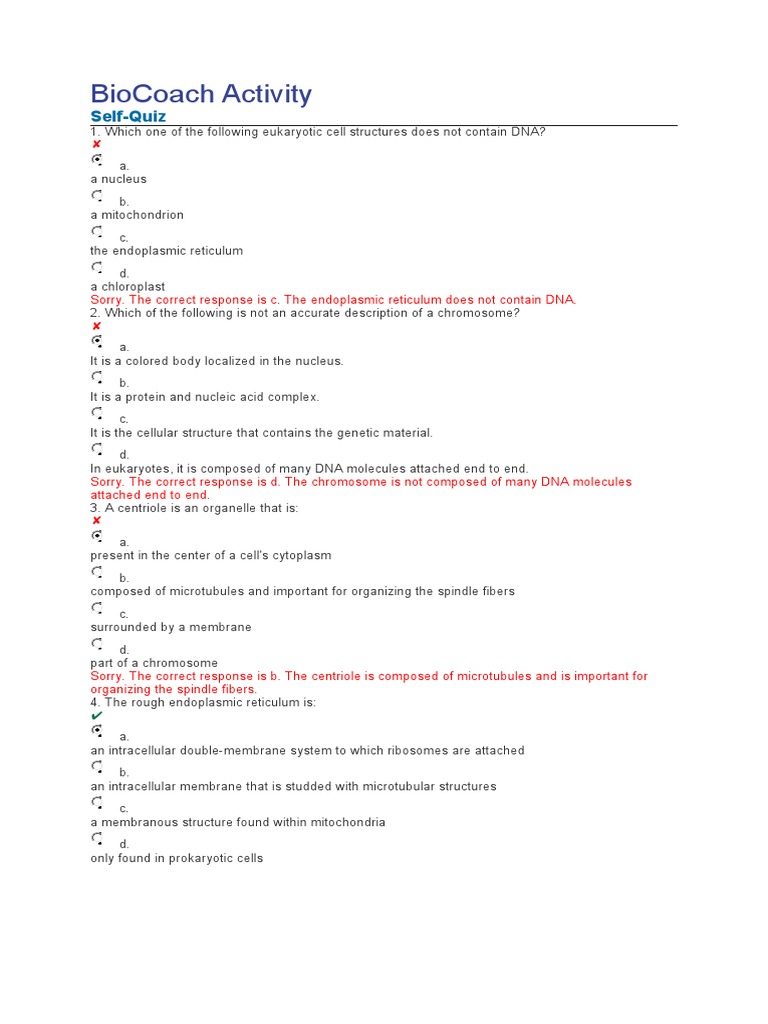 Biocoach Activity: Self-Quiz | PDF | Mitosis | Life Sciences