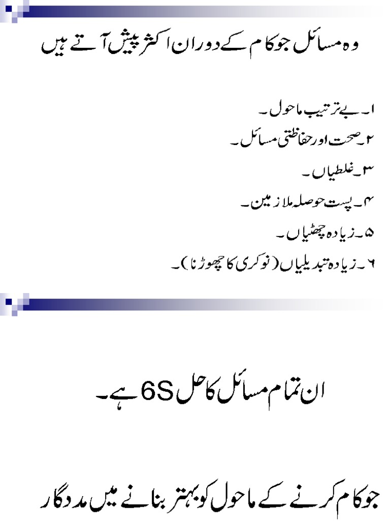 6S Training in Urdu | PDF