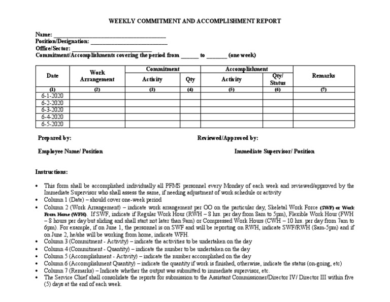 Work From Home Report Template | PDF | Business | Government