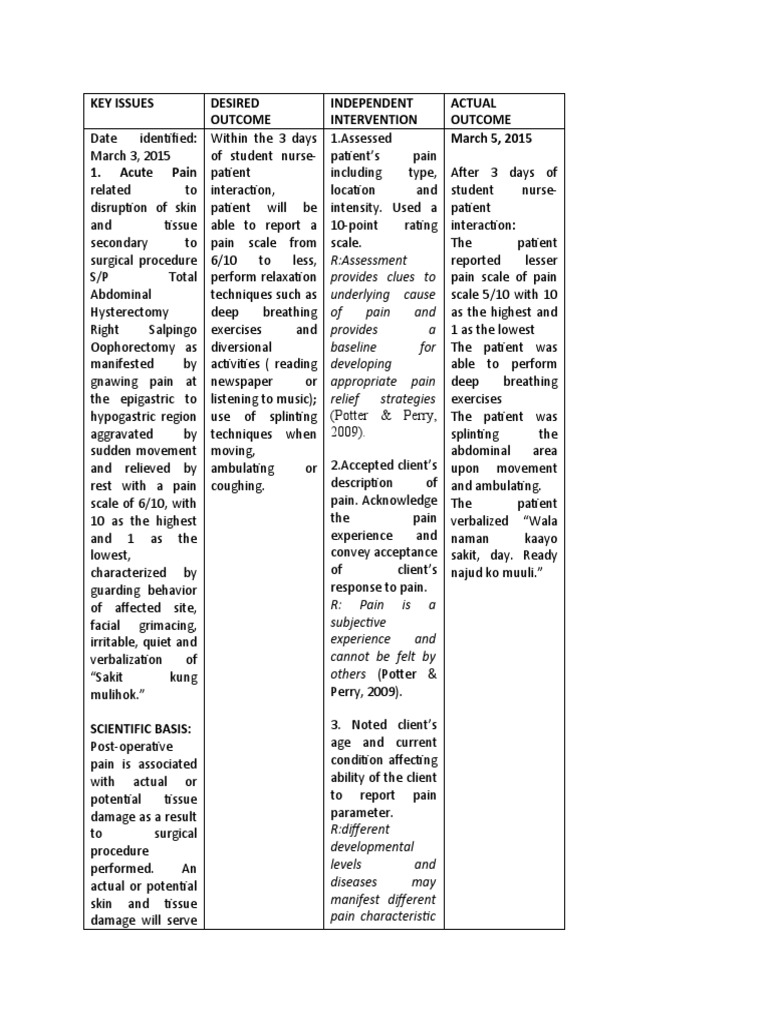 Key Issues Desired Outcome Independent Intervention Actual Outcome ...