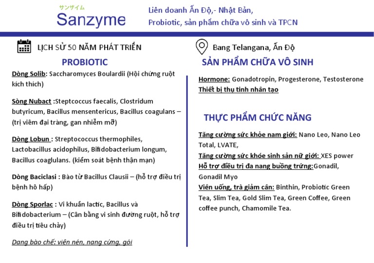 Summary Sanzyme | PDF