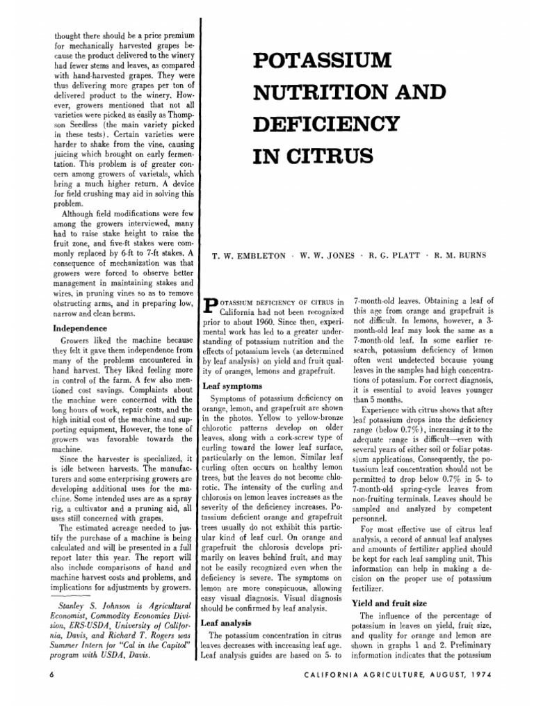 Potassium Deficiency Citrus | PDF | Orange (Fruit) | Fertilizer