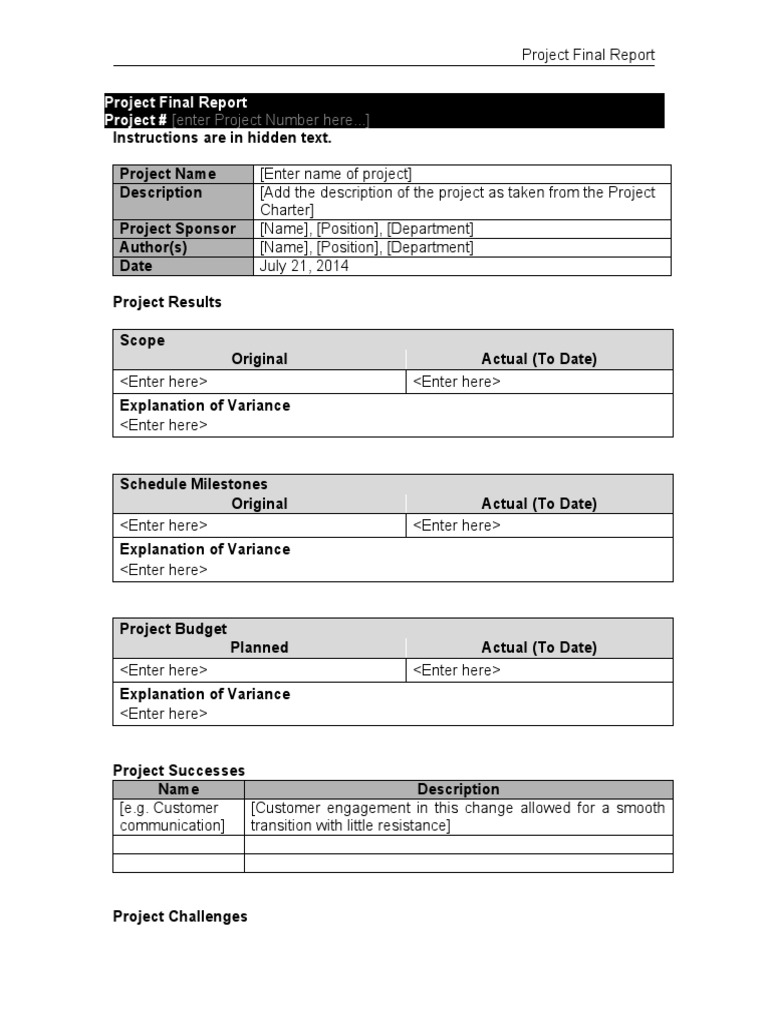 Project Final Report Template | PDF